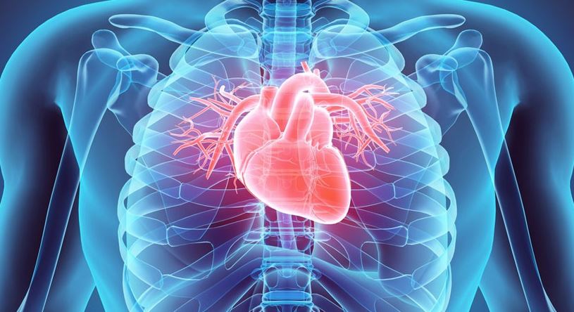 IIT Hyderabad researchers develop sensor device to detect heart ... IIT Hyderabad researchers develop sensor device to detect heart ...