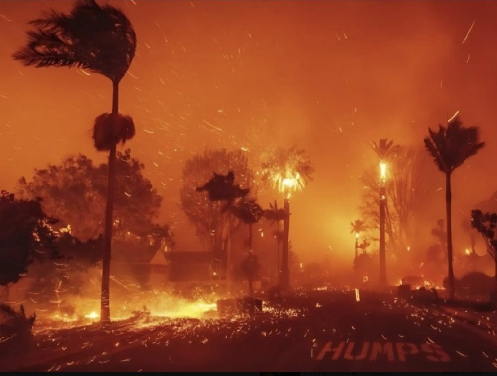 Los Angeles Wildfires Death Toll Mounts To 16 Firefighters Working